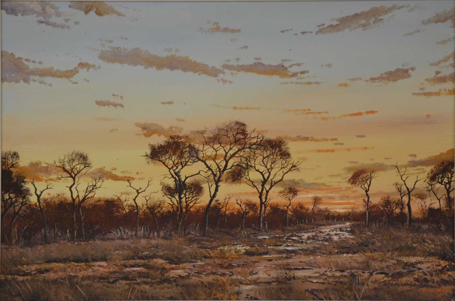 Errol Norbury | Errol Norbury, Bushveld landscape at dusk | MutualArt