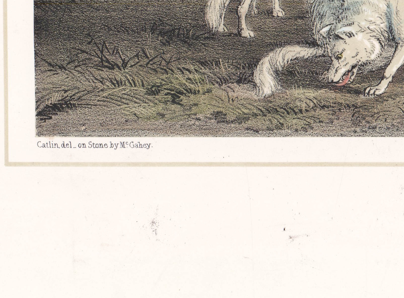 George Catlin | Untitled | MutualArt