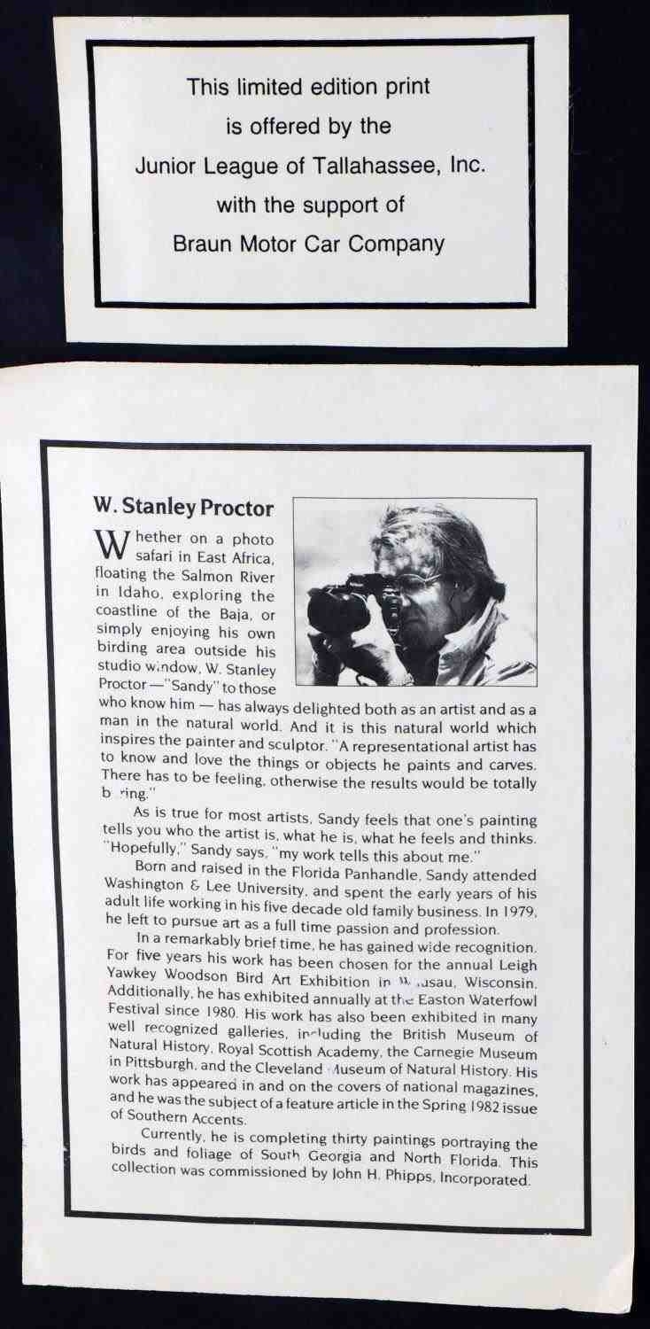 W. Stanley Proctor | Cardinals in a Magnolia Tree | MutualArt