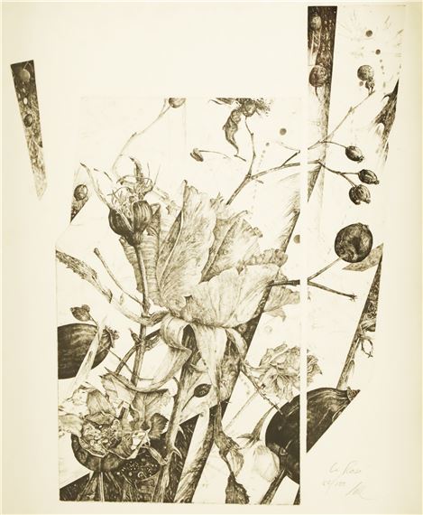 Fred Nall Hollis | La Rose | MutualArt