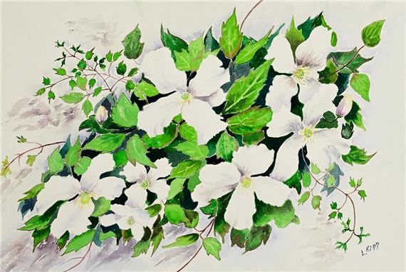 Lorraine Kidd | Still Life - White Clematis | MutualArt