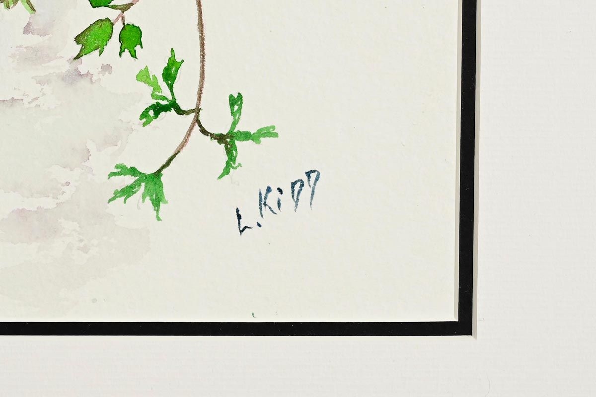 Lorraine Kidd | Still Life - White Clematis | MutualArt