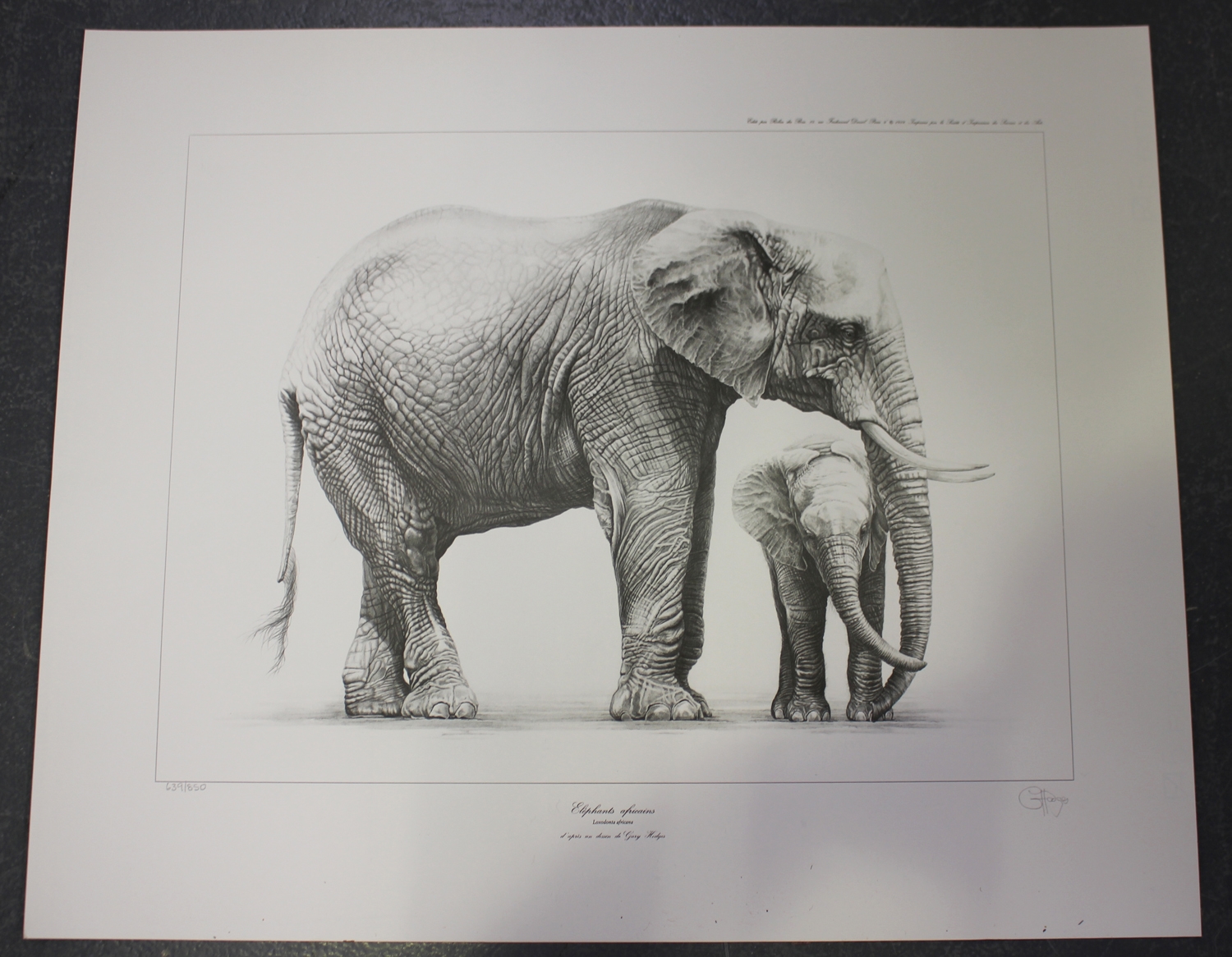 Gary Hodges | Elephants Africains (20th Century) | MutualArt