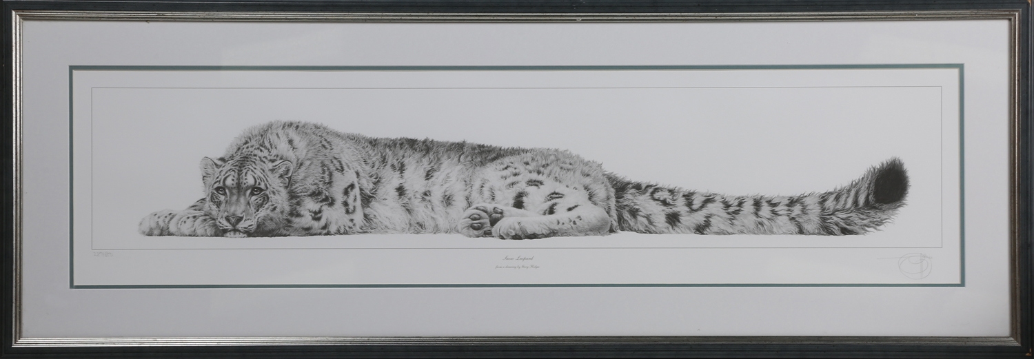 Gary Hodges | Snow Leopard (20th Century) | MutualArt