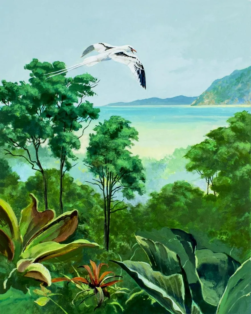 John Swatsley | Illustration - White-tailed Tropical Bird Flying over ...