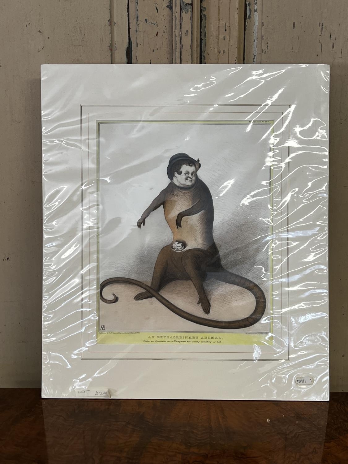 John Doyle | An Extraordinary Animal | MutualArt