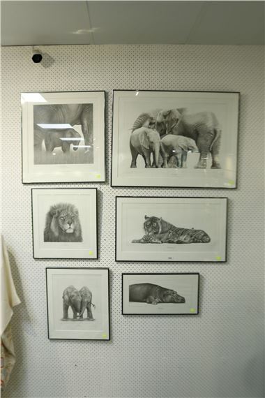 Gary Hodges | Assorted Wildlife | MutualArt