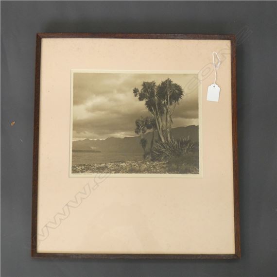 George Chance | 'THE SENTLENELS LAKE HAWEA' | MutualArt