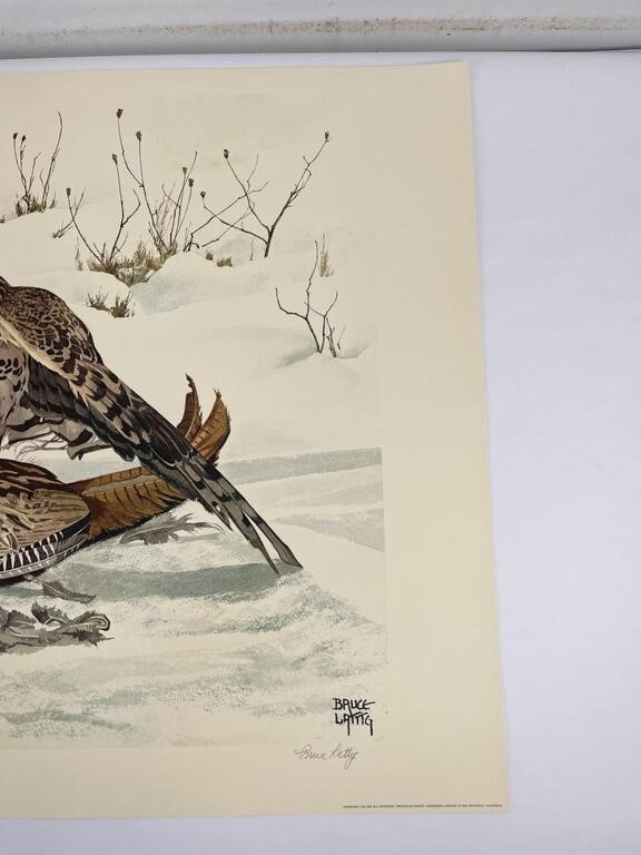 John Craighead | Goshwak Bruce Lattig | MutualArt