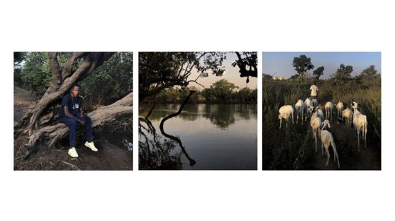 Eva Diallo | Artist Overview | MutualArt