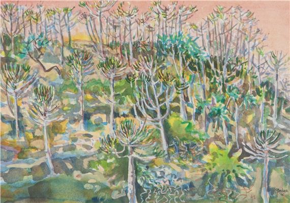 Carl Becker | Carl Becker (South African 1956 - ) EUPHORBIAS WITH PINK ...