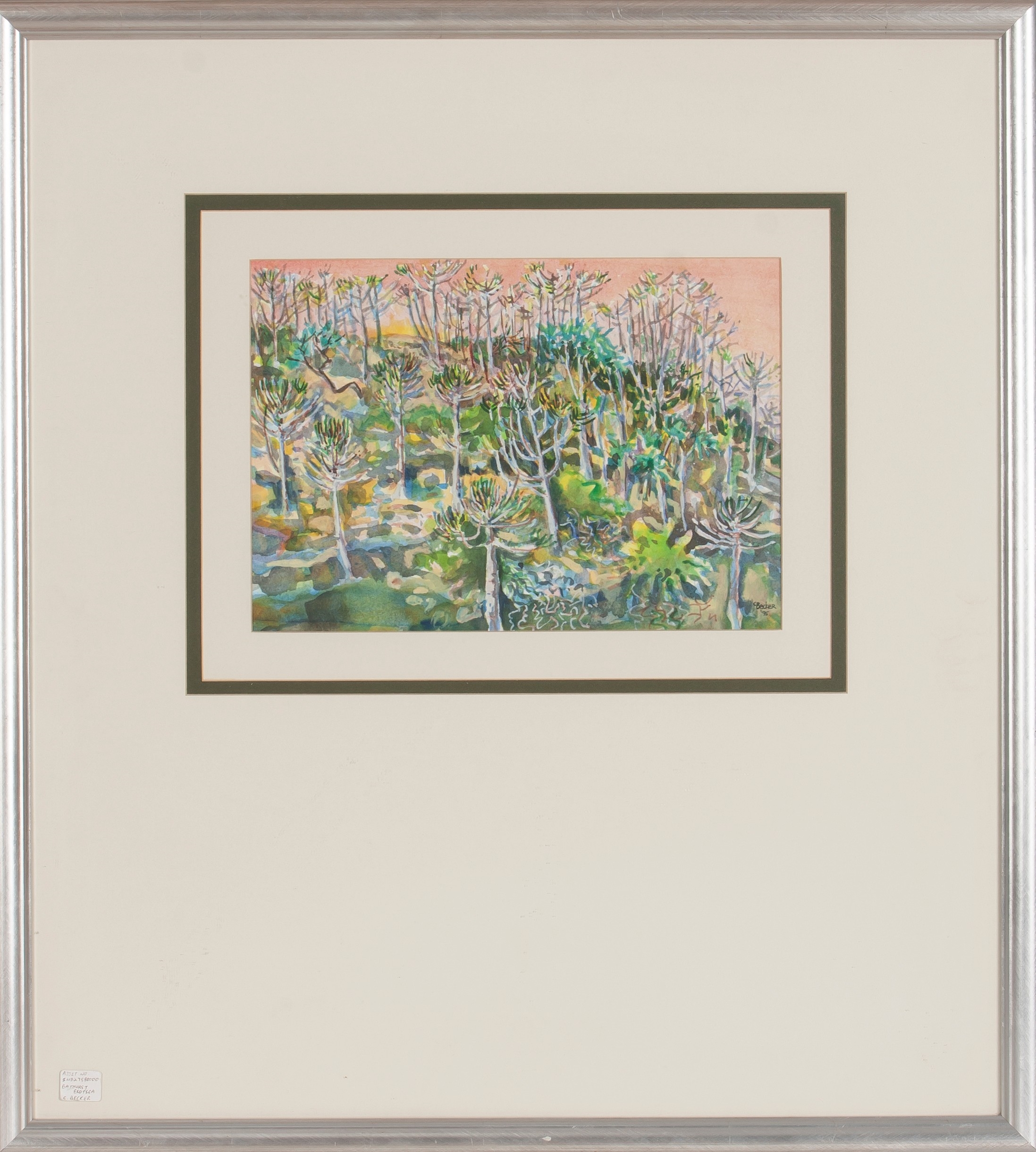 Carl Becker | Carl Becker (South African 1956 - ) EUPHORBIAS WITH PINK ...