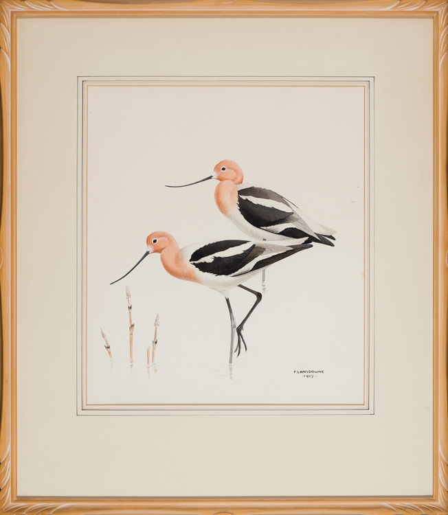 James Fenwick Lansdowne | Untitled (Pair of Birds) (1957) | MutualArt