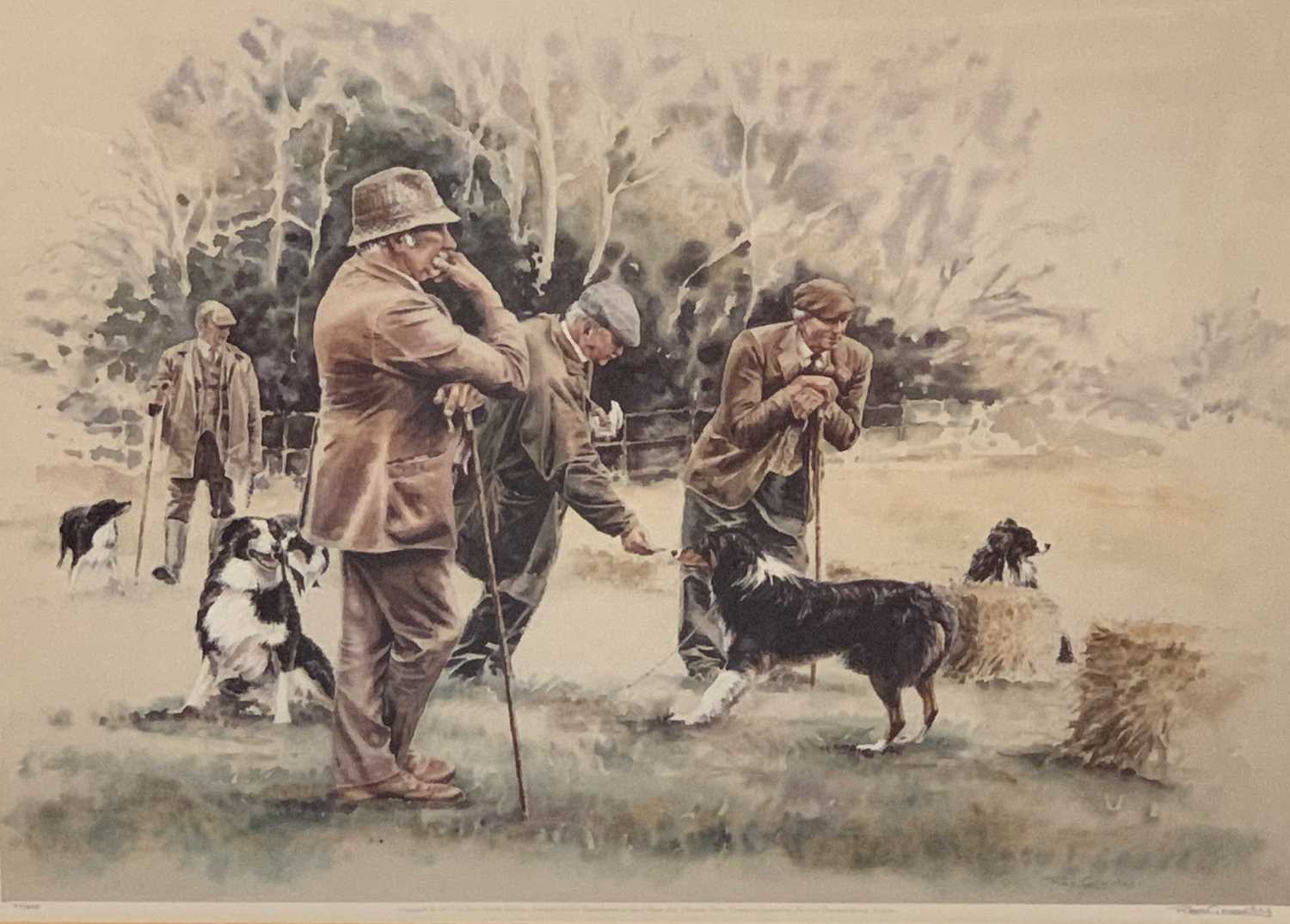 Ros Goody | sheepdogs and their handlers at trials | MutualArt
