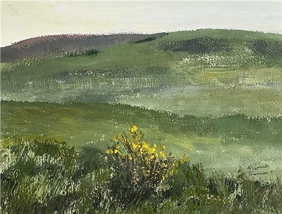 Elizabeth Thomas | Gower Landscape | MutualArt