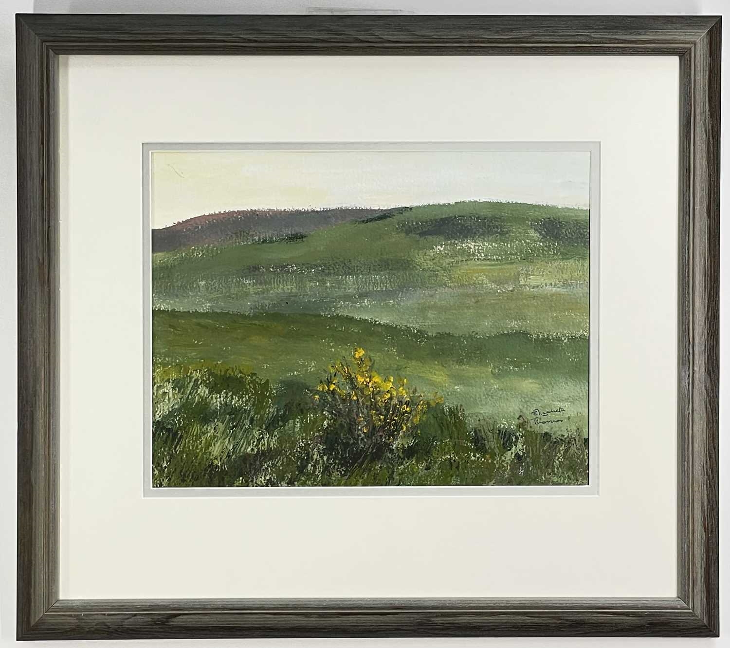 Elizabeth Thomas | Gower Landscape | MutualArt