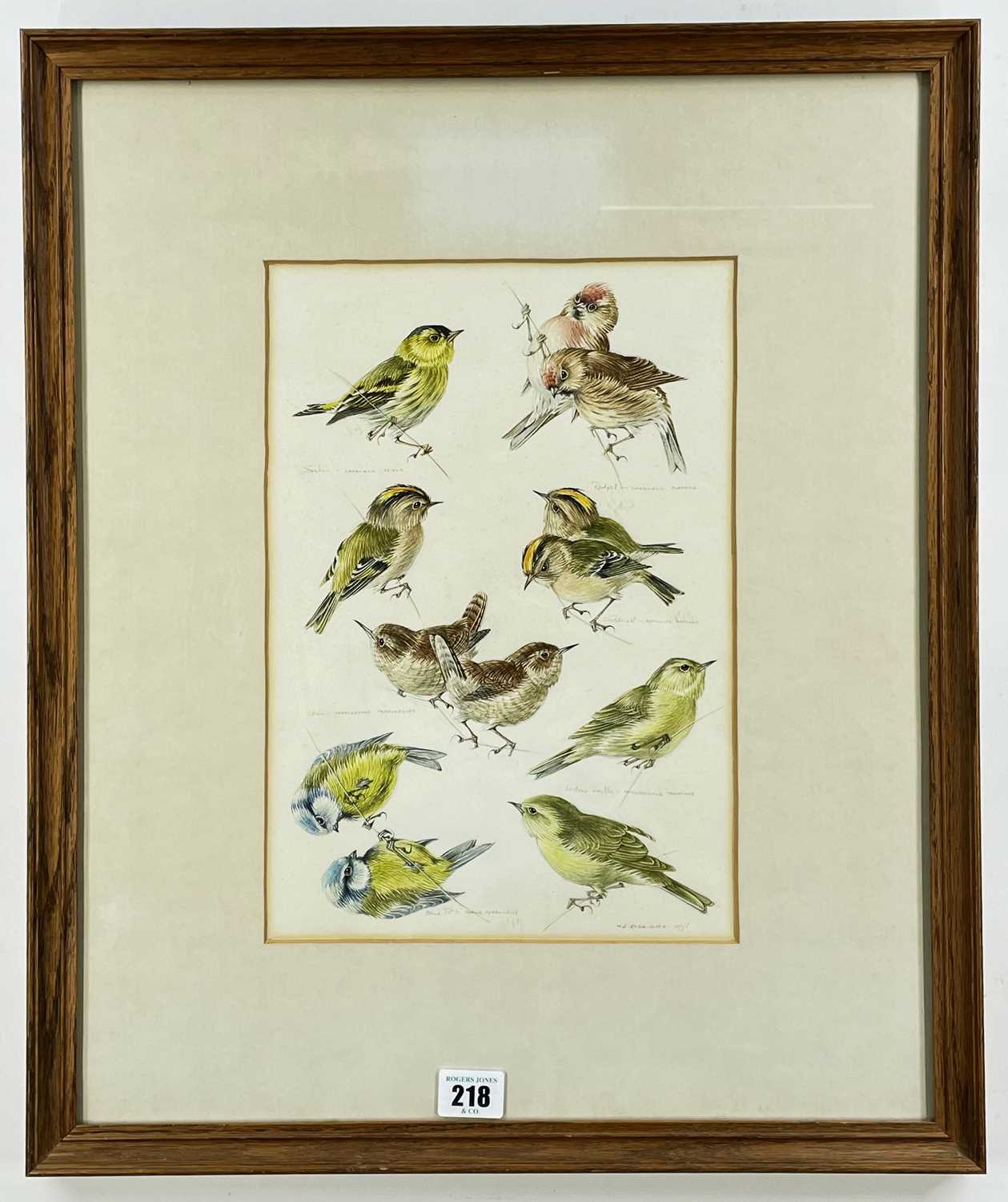 Mildred E. Eldridge | Small Garden Birds (1975) | MutualArt