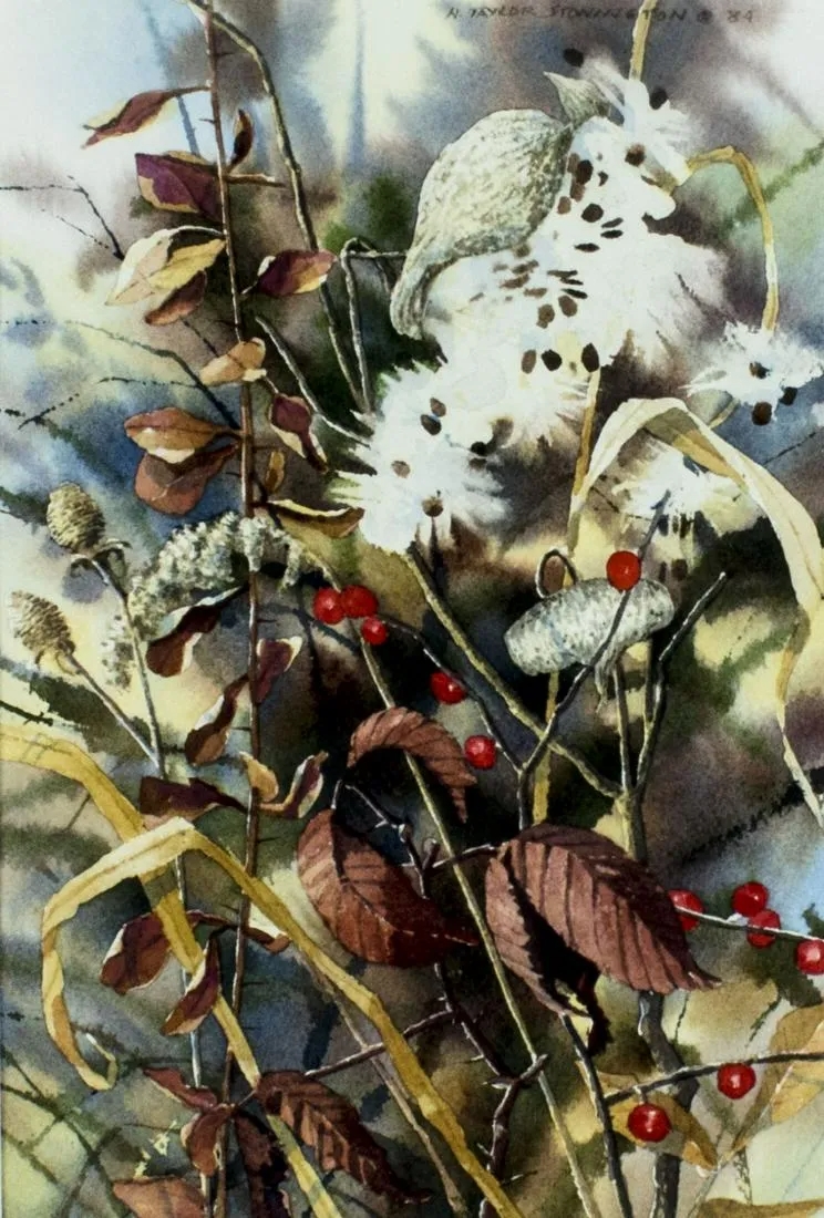 Nancy Taylor Stonington | Untitled (1984) | MutualArt