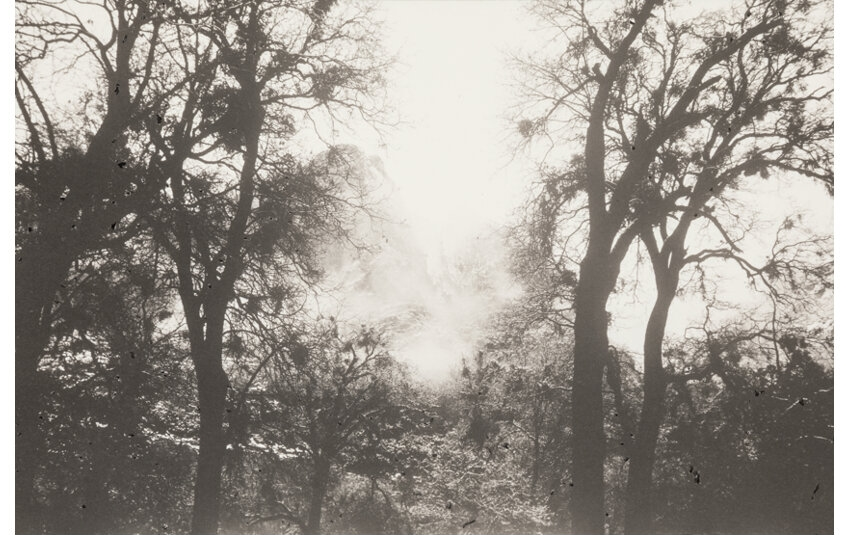 Tom Millea | Yosemite (1990) | MutualArt