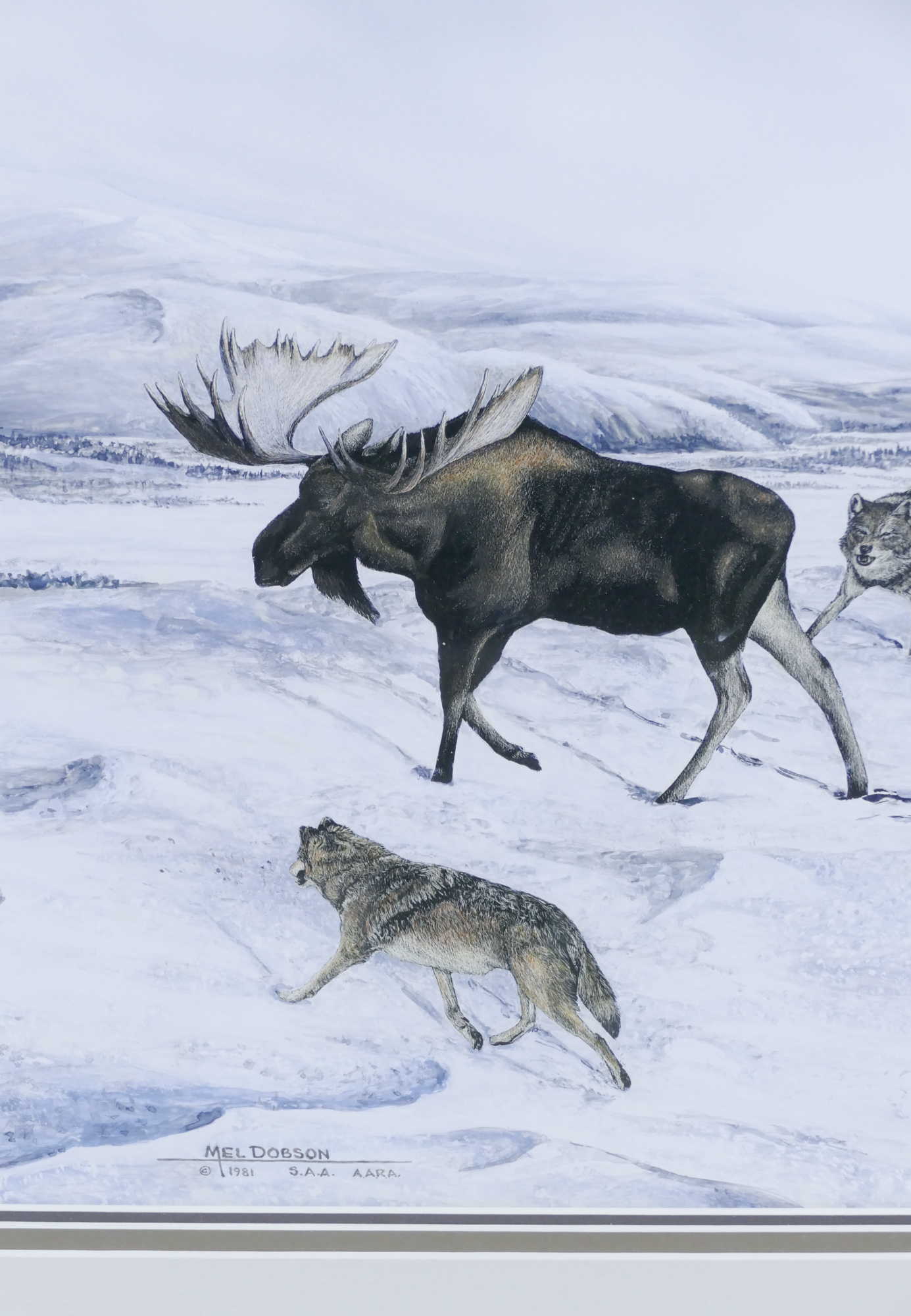 Mel Dobson | North Country Test Run'' (Wolf Pack & Bull Moose) (1981 ...