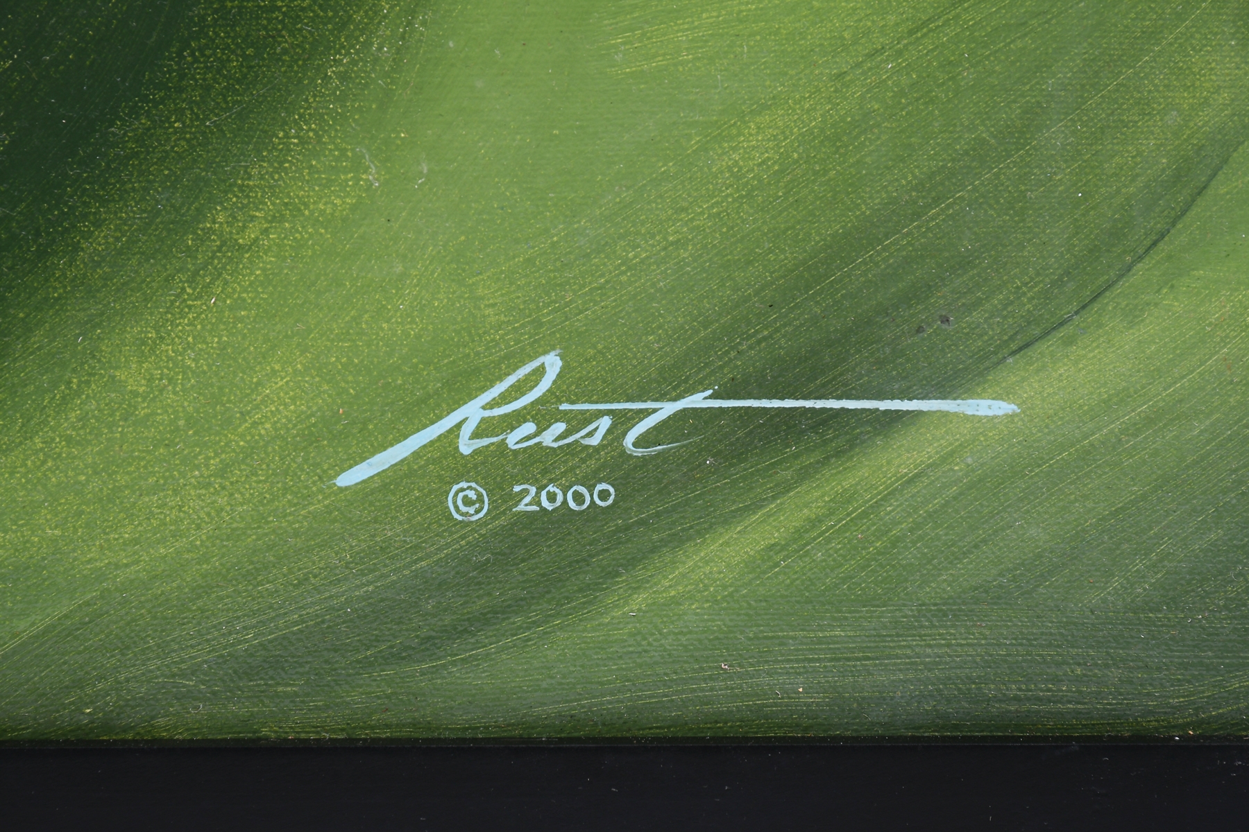 Donald Rust | CATARINA | MutualArt