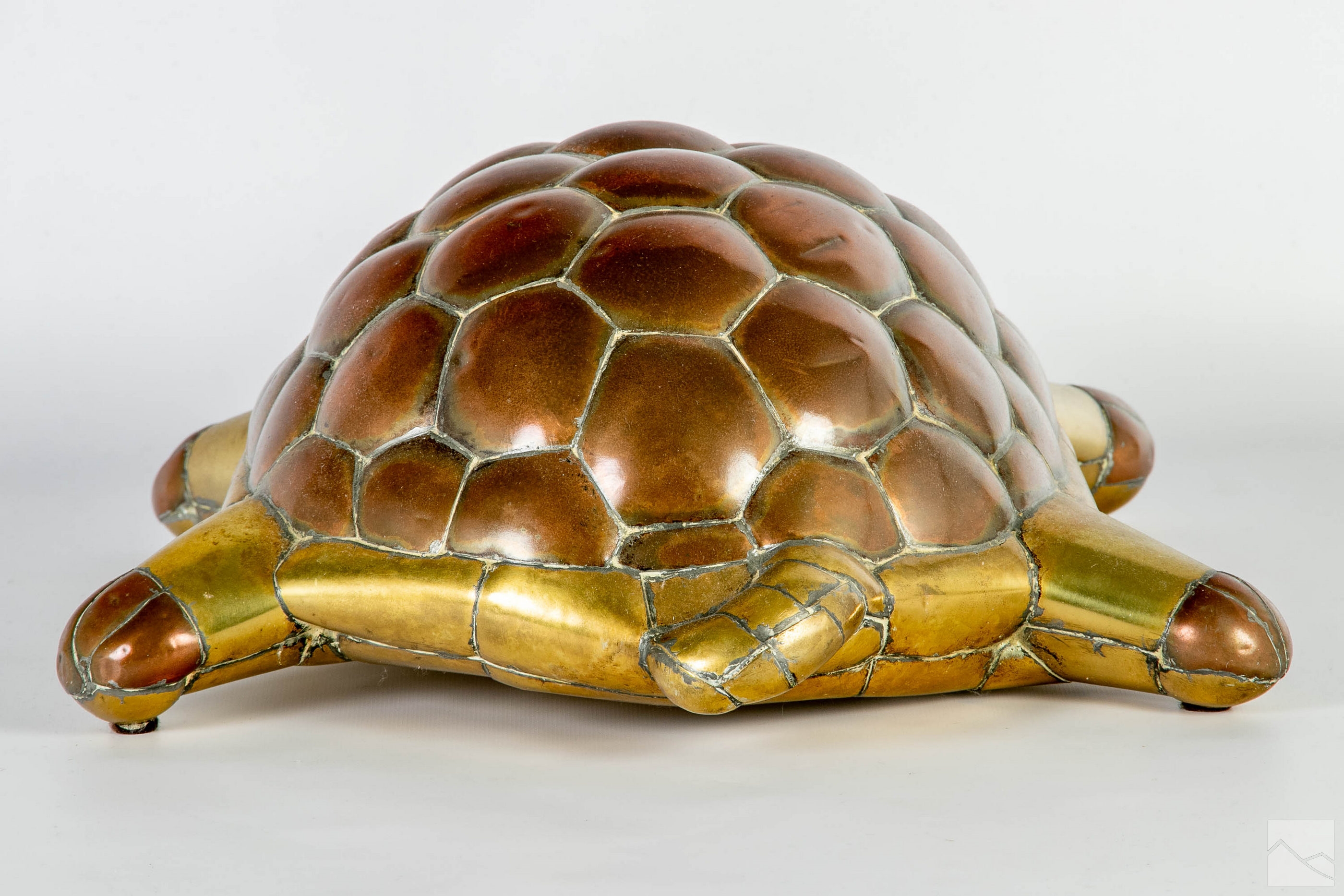 Sergio Bustamante | Modeled as a sea turtle, with glass eyes | MutualArt