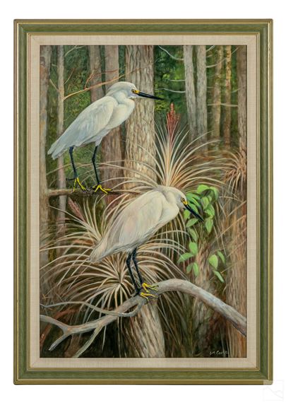 Jim Foote | Depicts a pair of Snowy Egret birds perched on a branch in ...