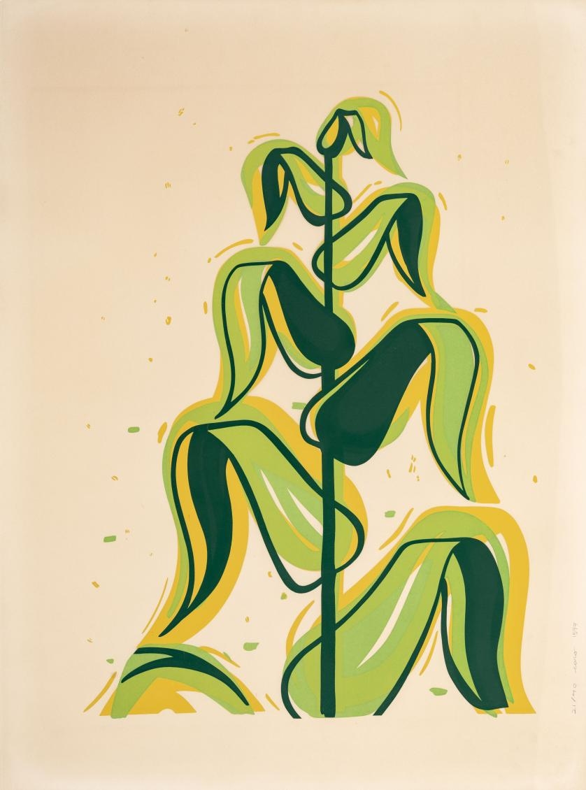 Antonio Caro | Maíz (1977) | MutualArt