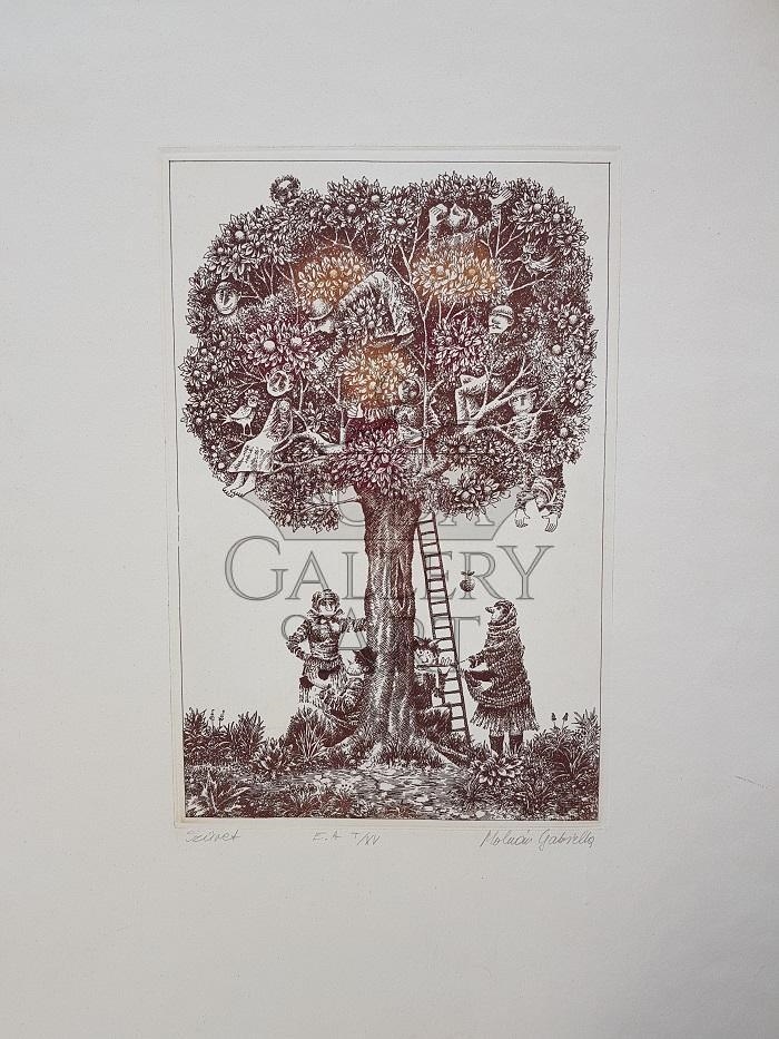 Gabriella Molnár | Harvest | MutualArt