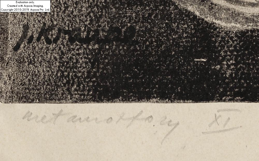 Janina Kraupe-Świderska | Metamorphosis XI (1955) | MutualArt