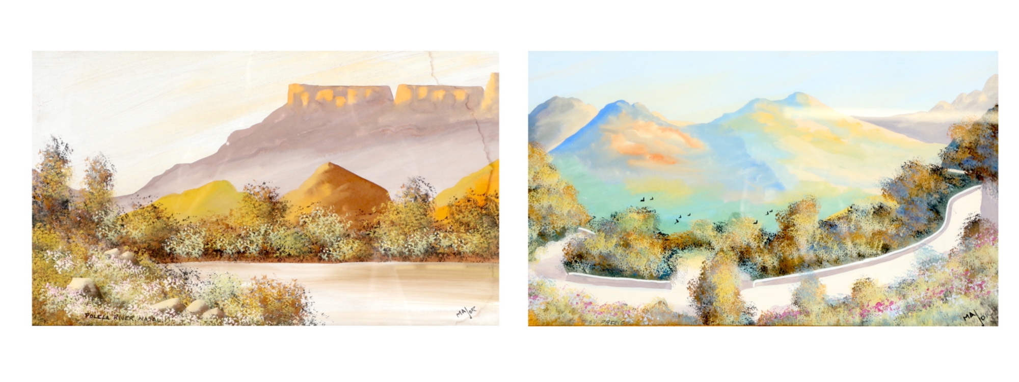 Waldemar Fydrych | POLELA RIVIER NATAL | MutualArt