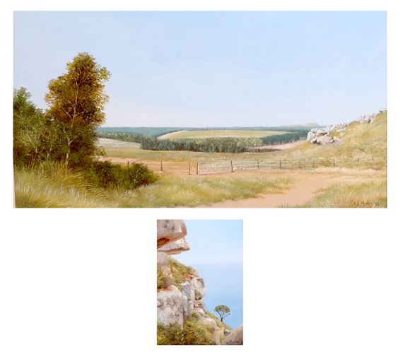 Paul Munro | FARM GATE, LIONS HEAD (85) | MutualArt