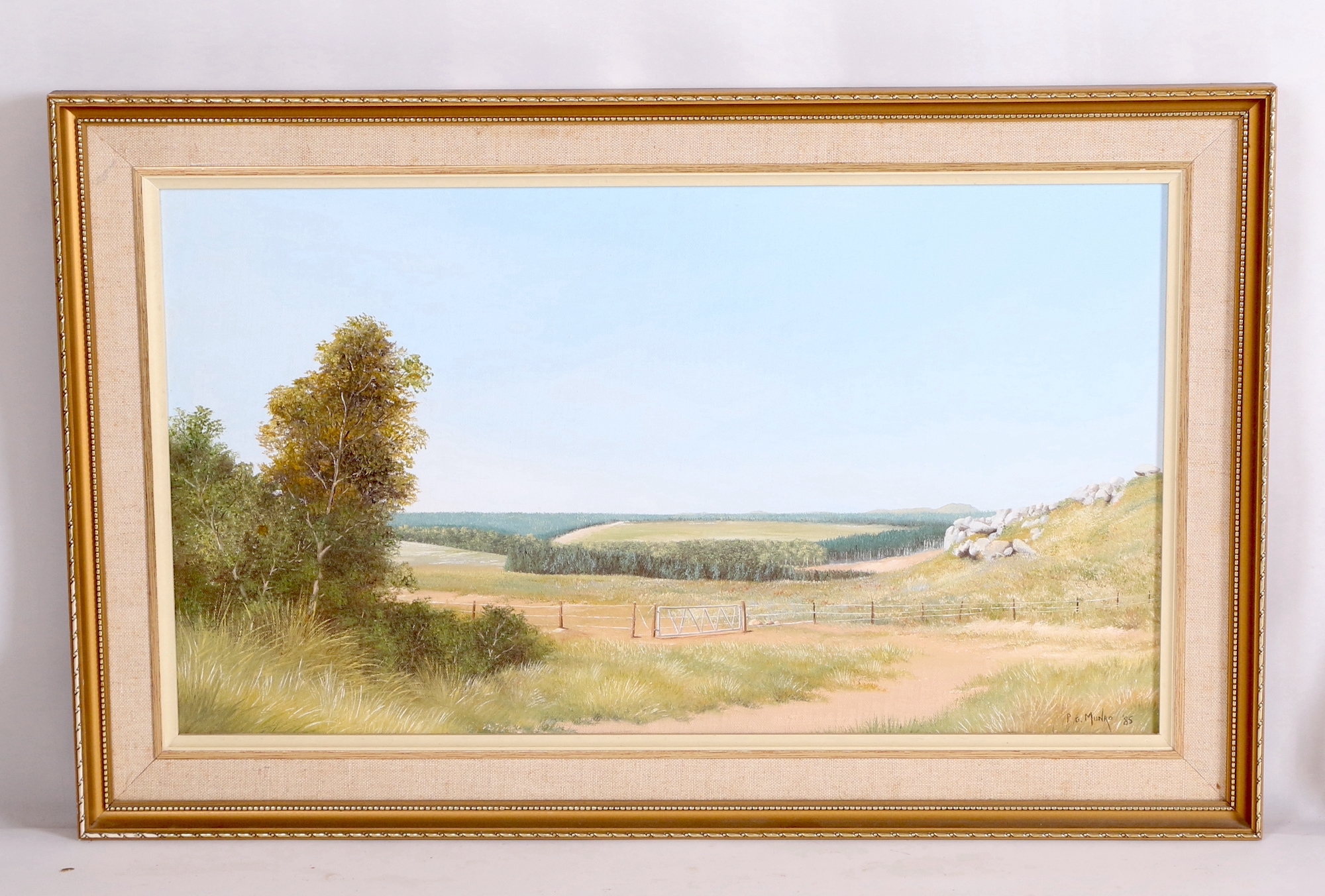 Paul Munro | FARM GATE, LIONS HEAD (85) | MutualArt
