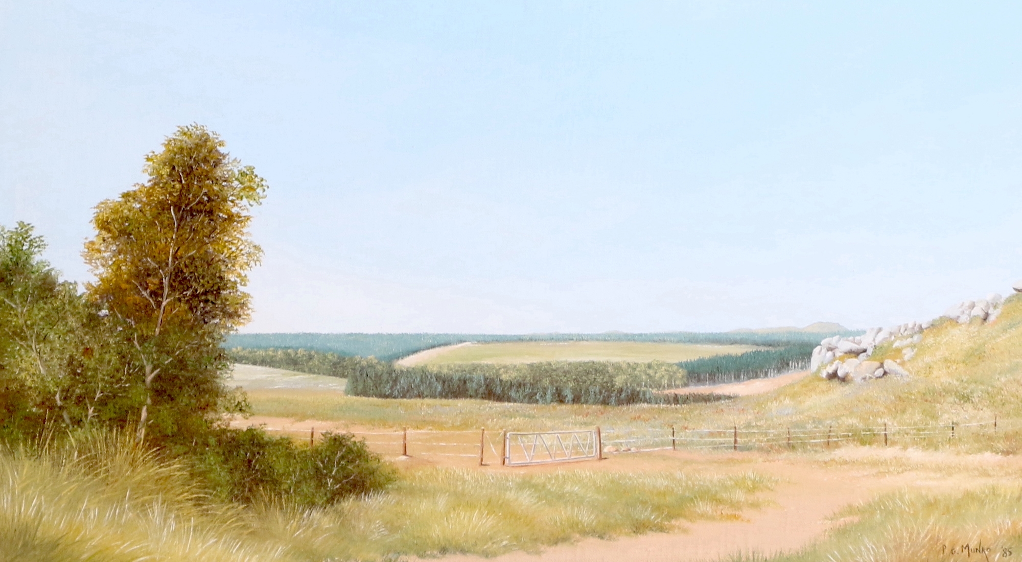 Paul Munro | FARM GATE, LIONS HEAD (85) | MutualArt