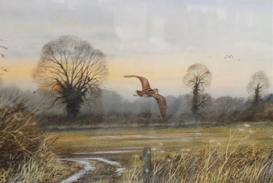 Peter Hayman | A woodcock in flight; A song thrush | MutualArt