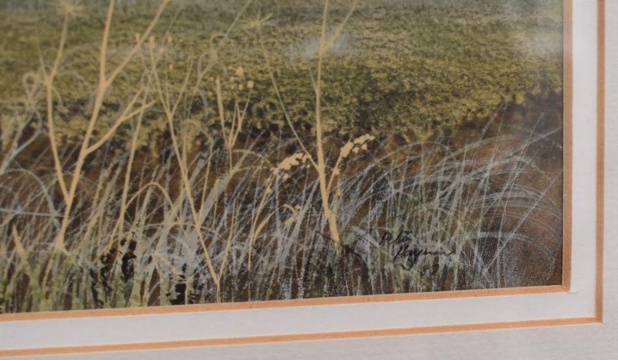 Peter Hayman | A woodcock in flight; A song thrush | MutualArt