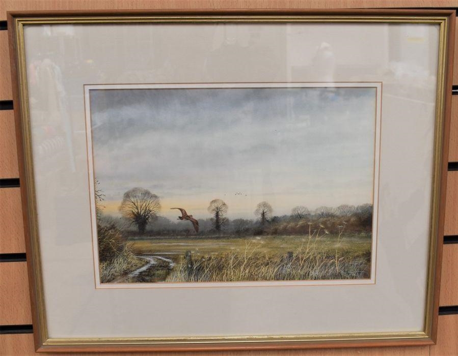 Peter Hayman | A woodcock in flight; A song thrush | MutualArt