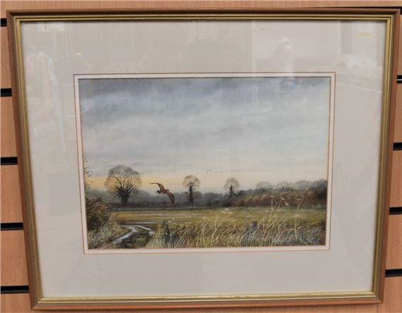 Peter Hayman | A woodcock in flight; A song thrush | MutualArt