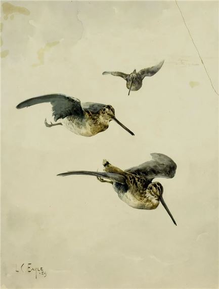 Lawrence Carmichael Earle | Birds (1889) | MutualArt
