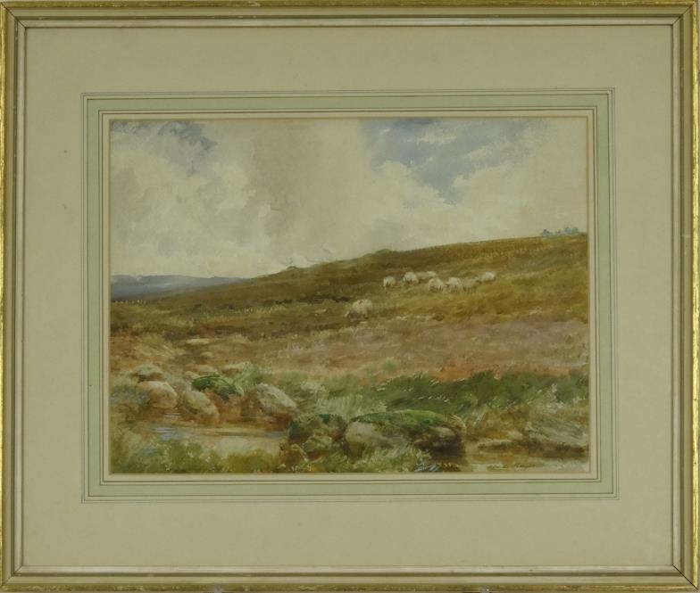 Claude Hayes | Claude Hayes - Watercolour moorland landscape with sheep traversing a hill ...