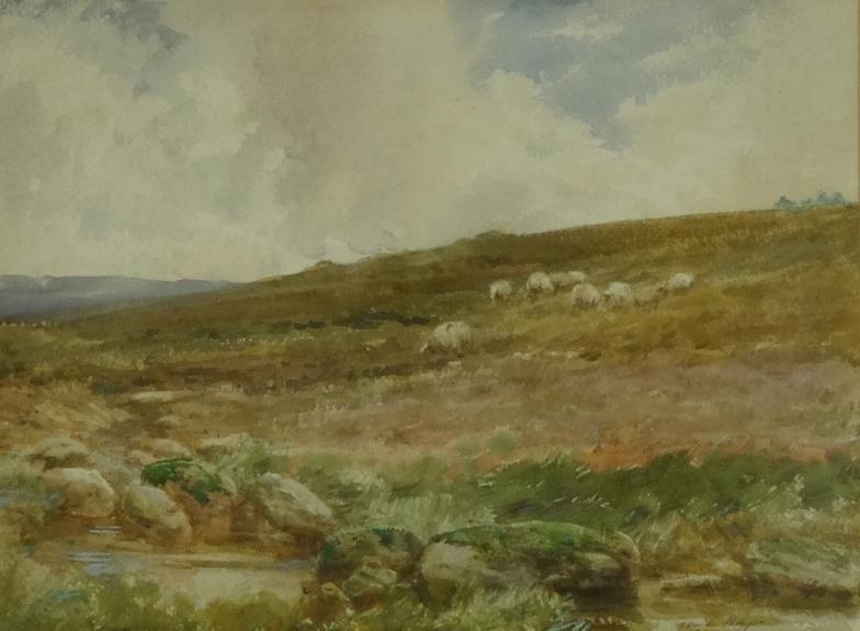 Claude Hayes | Claude Hayes - Watercolour moorland landscape with sheep ...