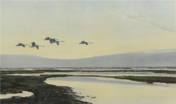 Peter Scott | Peter Scott - Pencil signed lithograph published by ...