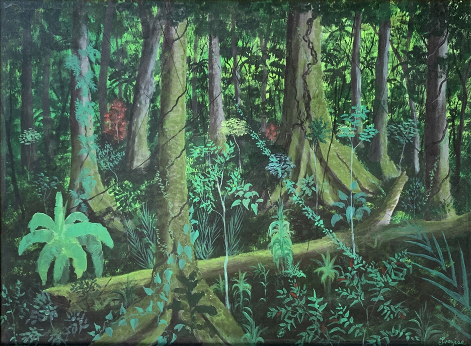 Percy Trezise | Wild Bananas in Rainforest | MutualArt