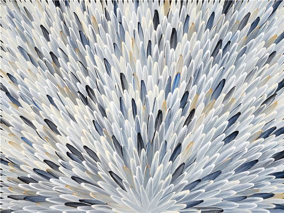 Raymond Walters Japanangka | Emu Dreaming (2019) | MutualArt