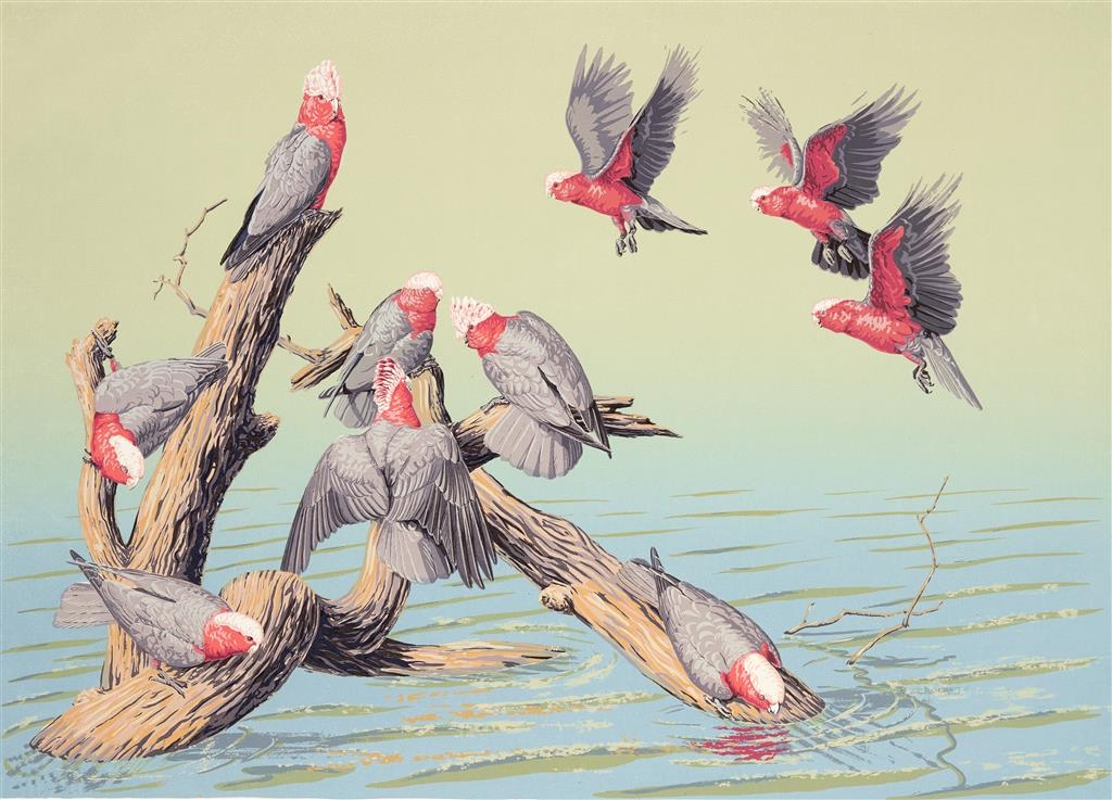 Richard Weatherly | Galahs Drinking | MutualArt