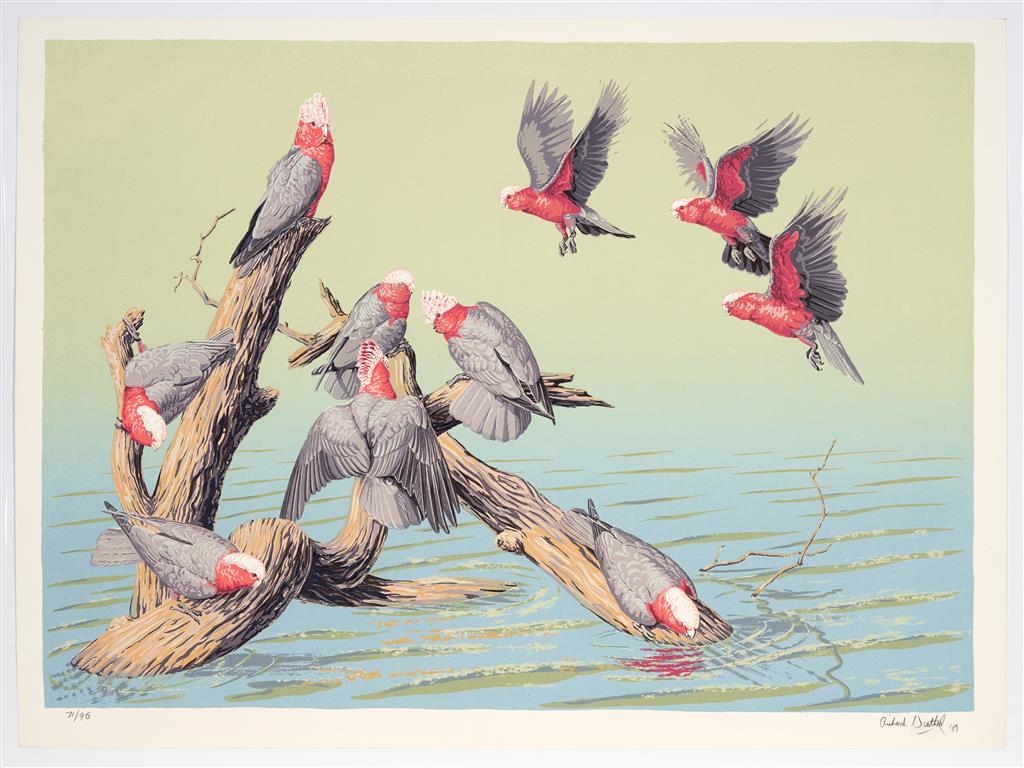 Richard Weatherly | Galahs Drinking | MutualArt