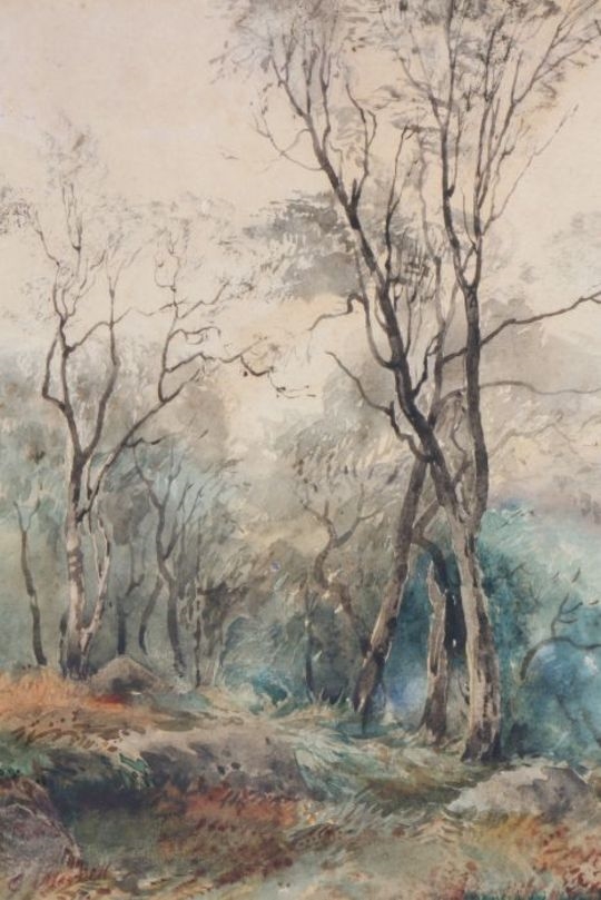 Christopher Maskell | Woodland Scene | MutualArt