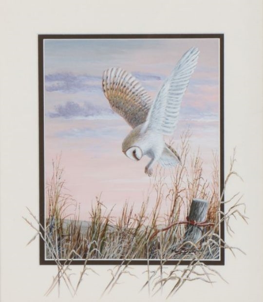 Mark Chester | Barn Owl | MutualArt