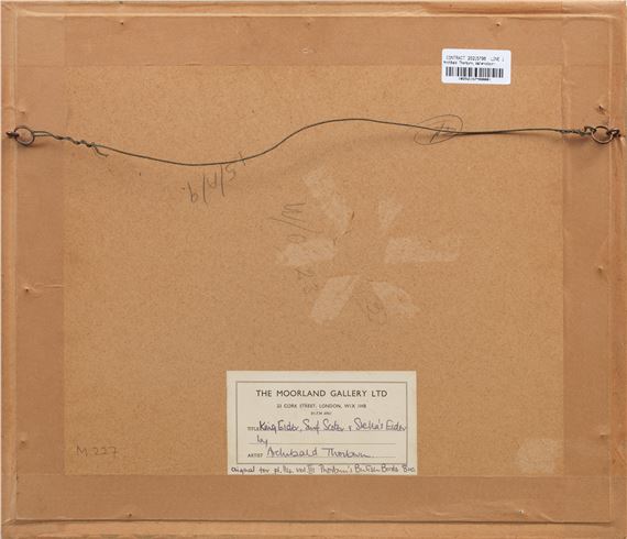 Archibald Thorburn | King Eider, Surf-Scoter and Steller's Eiders (1925 ...