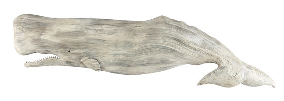 Roger Mitchell | ROGER MITCHELL SPERM WHALE | MutualArt